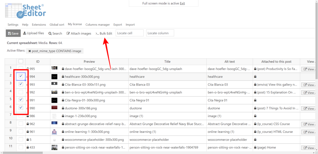 WordPress - How to Bulk Edit Image Alt Text or SEO Descriptions