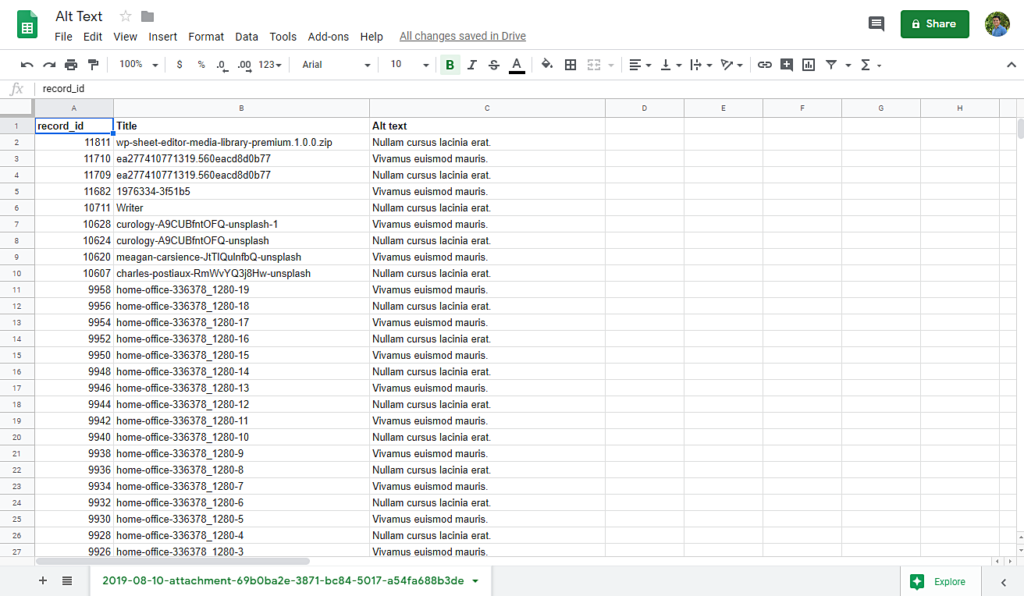 WordPress - Find Gallery Files by Extension