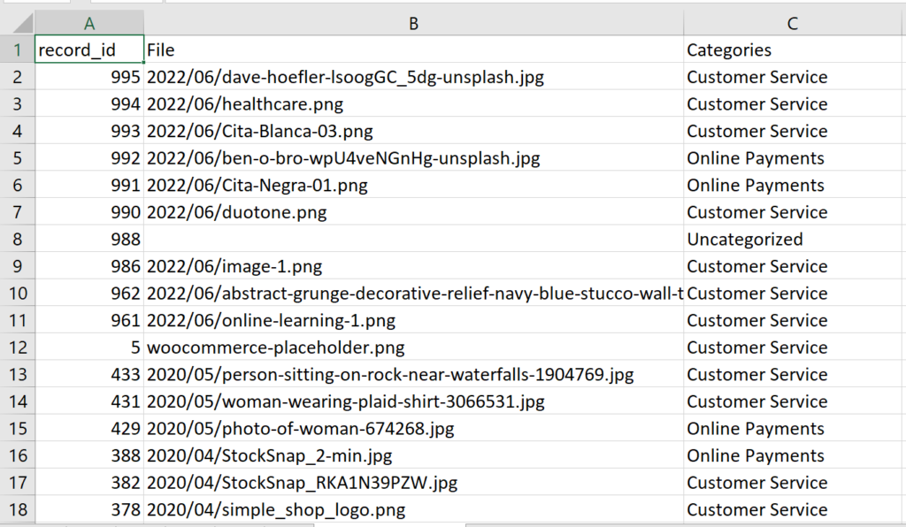 WordPress - How to Export and Import Media Library Categories