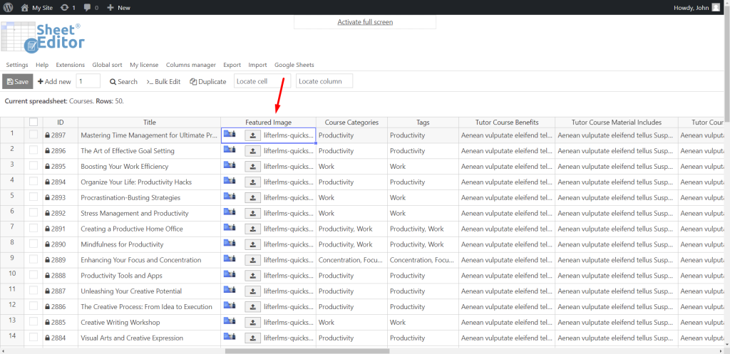 Tutor LMS - How to Bulk Edit Courses in a Spreadsheet - WP Sheet Editor
