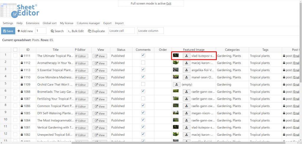 WordPress: Bulk Edit Posts, Pages and Custom Post Types - WP Sheet Editor