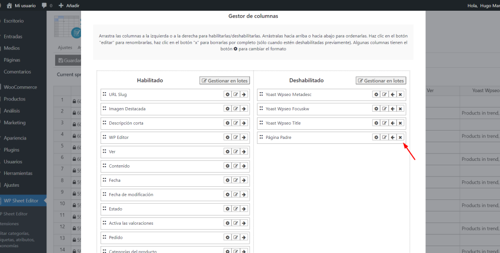 Cómo eliminar una columna de forma permanente - WP Sheet Editor en Español